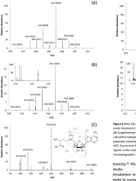 Figure 1 From Selenium Species Dependent Toxicity Bioavailability And
