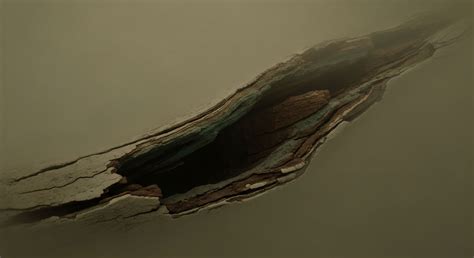 What Is The Role Of Tsf Capping And Revegetation In Pollution Control