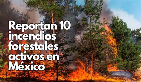 Conafor Reporta 100 Incendios Forestales Activos En México Chihuahua