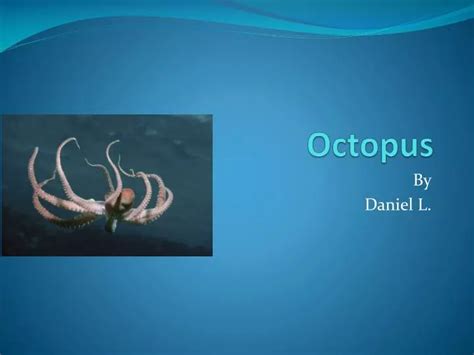 PPT Octopus PowerPoint Presentation Free Download ID 5419163