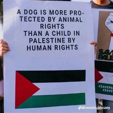 Ahmed Amin Cfa Frm On Linkedin Palestine Gaza