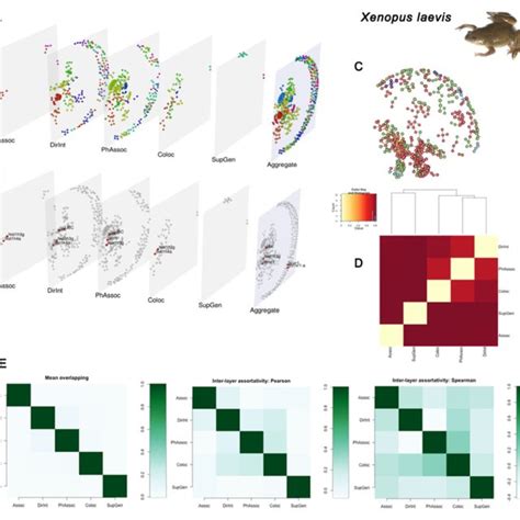 Multilayer Analysis Of Genetic Interaction Data A A Download
