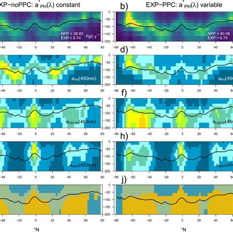 Longitude‐averaged Depth Profiles From Model Simulations With Constant