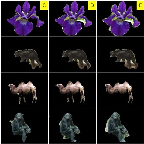 Visual Comparison Between The Proposed Approach And Four Other Methods