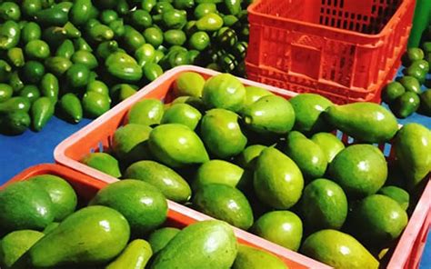 Riba Nasiah Berikut Hukum Dan Contoh Jual Belinya Moeslim Id