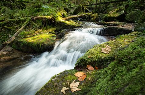 Stateful Stream Processing With Kafka And Go Mux Blog