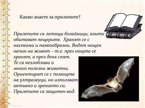 животински свят Pptx