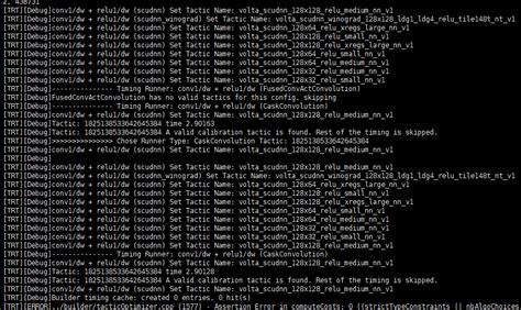 Algorithms Selected Propblem While Use Int Precision Issue NVIDIA TensorRT GitHub