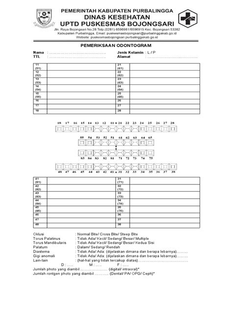 Format Odontogram Pdf