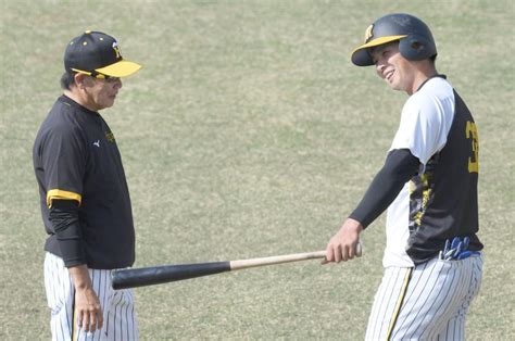 阪神・和田2軍監督がフェニックスlで初采配 井上が4番阪神タイガースデイリースポーツ Online