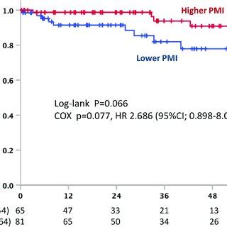 Overall Survival Curve Within Years After Nephrectomy In Higher And Download Scientific