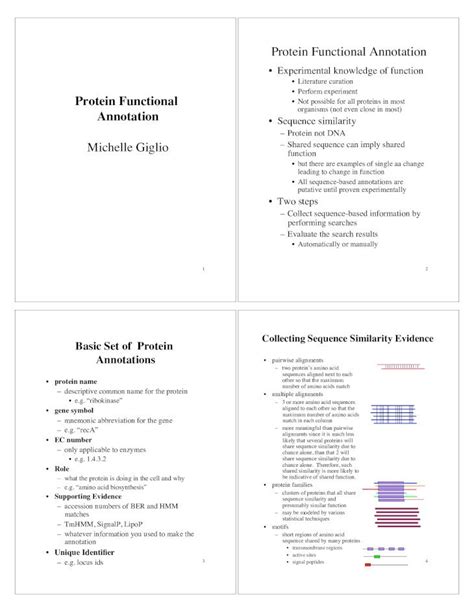 Pdf Protein Functional Annotation · Annotation Michelle Giglio