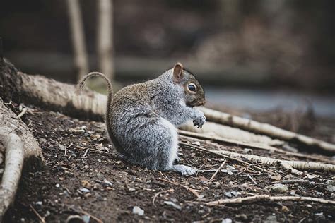 Beautifully Different Photograph By Rose Guinther Pixels