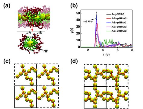 Figure S A The Core Shell Structure Formed By The A B G NP B Download Scientific