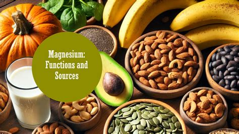 Magnesium Key Functions And Primary Dietary Sources
