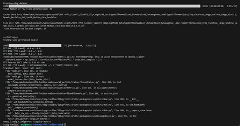 Issue When Trying To Get Baseline Results With Pre Trained Models Testing On UBFC RPPG Dataset