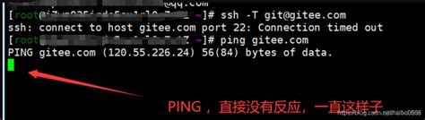 Linux Ssh Connect To Host Port 22 Connection Timed Out 阿里服务