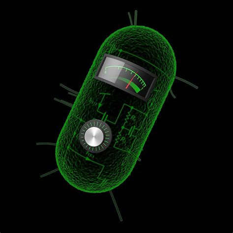 Using Cells As Living Calculators