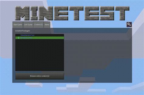 Creating Custom Environments Craftium