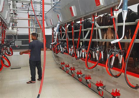 Dairy Automation Systems Equipment Our Products