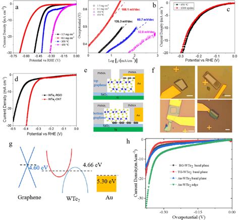 A Polarization Curves Of Wte 2 Flowers That Prepared On Carbon Fiber Download Scientific