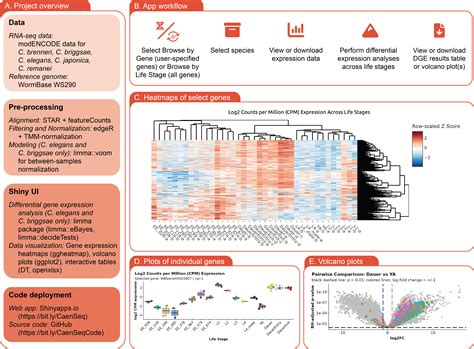 The Caenorhabditis Rna Seq Browser A Web Based Application For On Demand Analysis Of Publicly