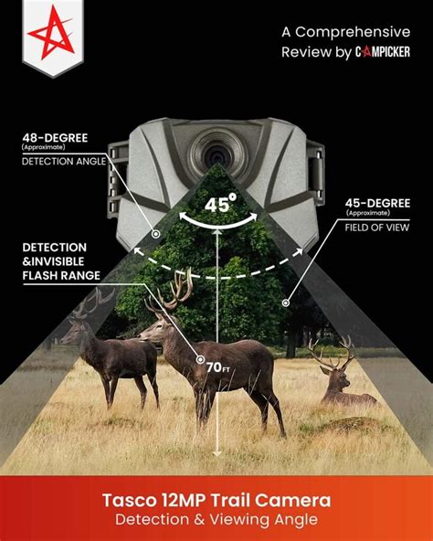 Tasco 12mp Trail Camera Review Budget Pick Campicker