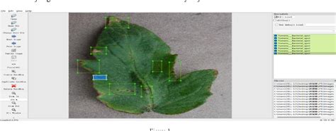 Figure 1 From Application Of Efficientnetv2 And Yolov5 For Tomato Leaf Disease Identification