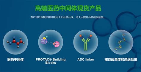 单b细胞抗体制备单b细胞分选单b细胞测序 美迪西生物医药