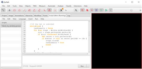 script for docking any floating window to the analysis pane results