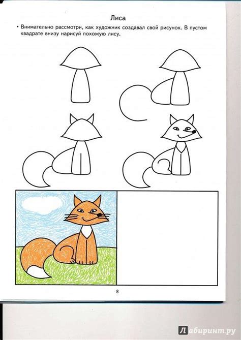 Строение тела человека