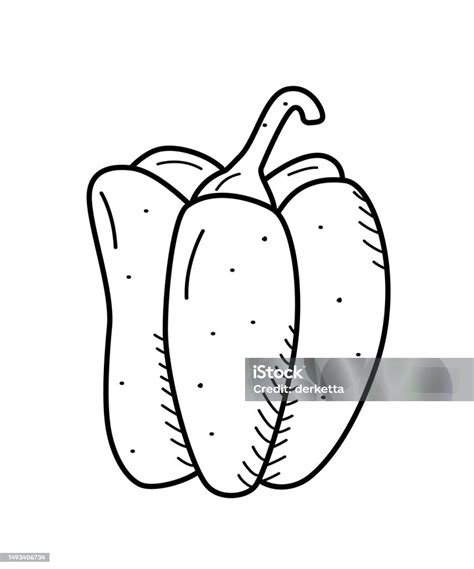 줄기가 있는 달콤한 고추 아이콘 벡터 낙서 그림 디자인을 위한 단일 스케치 계절에 대한 스톡 벡터 아트 및 기타 이미지 계절 낙서 드로잉 다이어트 Istock