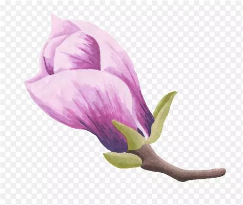 png图片图像图形下载水彩画 印度画笔花PNG图片素材下载 图片编号6539017 PNG素材网
