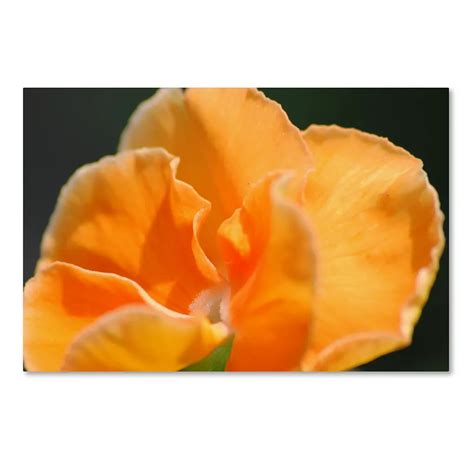 Trademark Fine Art Simple Compassion Canvas Wall Art