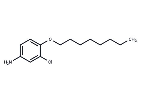 Aniline 3 Chloro 4 Octyloxy Targetmol