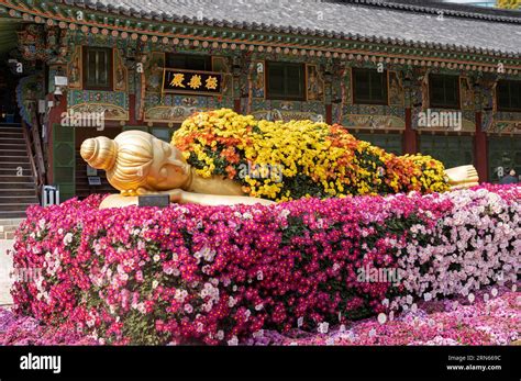 Buddha Statue Decorated With Flowers Reclining Gold Chrysanthemum