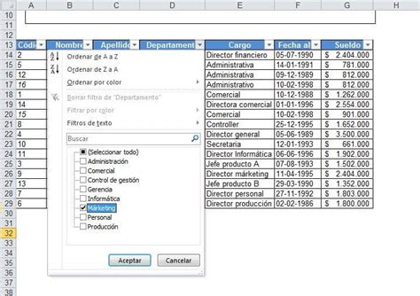 Cómo Utilizar Los Filtros Avanzados En Excel Para Tus Datos
