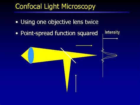 Optical Neural System Imaging Survey November 15 1999