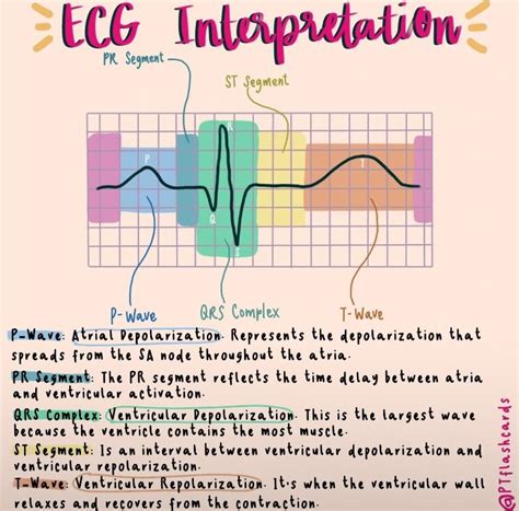 An Electrocardiogram Ecg Or Ekg Is A Test That Records The Electrical