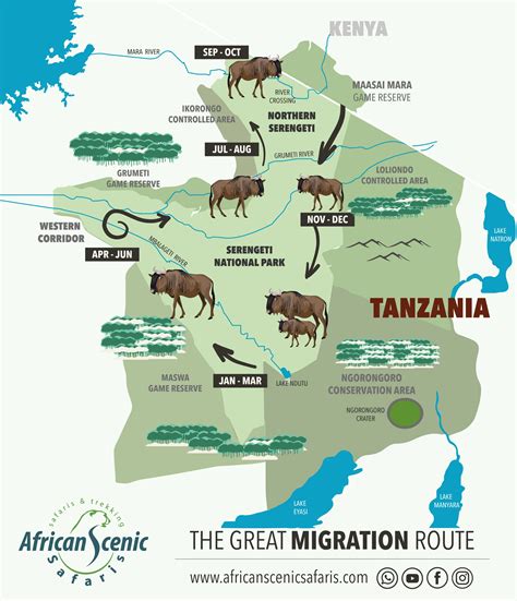 Wildebeest Migration Map From Single Steps To Mass Migration The