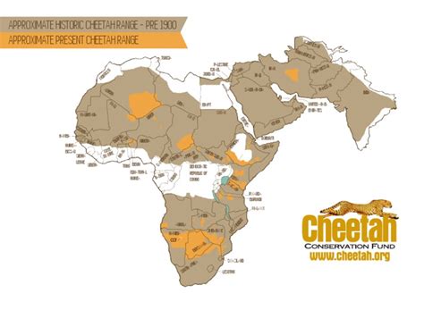 Cheetah Range Map Pdf