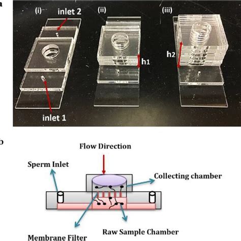 A Microfluidic Sperm Sorting Device Based On Rheotaxis Effect Request Pdf