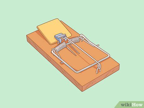 Ways To Get Rid Of Mice WikiHow Life