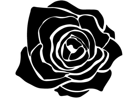 Black Rose Drawing Images In This Tutorial We Will Draw Rose