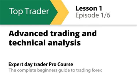 Trading Courses For All Levels Of Knowledge