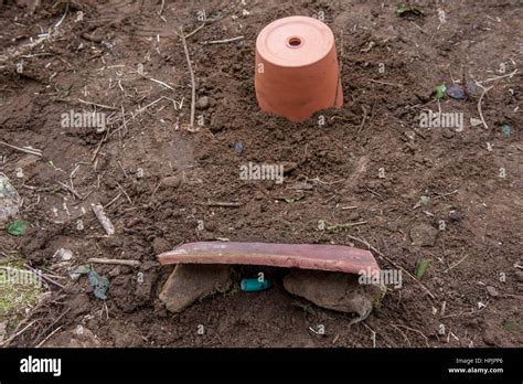 Making A Bee House Or Bumblebee Nest Made Out Of Household Items Stock Photo Alamy