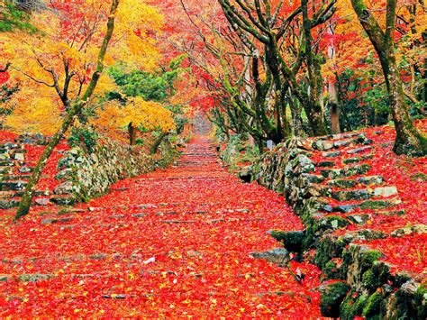 滋賀のおすすめ紅葉スポット厳選72018年度版穴場スポットまで