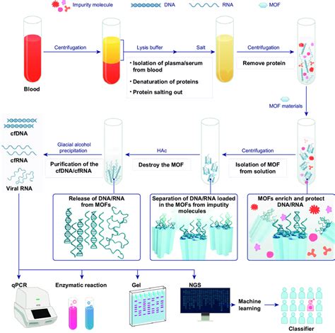 Schematic Illustration Of The Isolation Of CfDNA CfRNA From Download Scientific Diagram