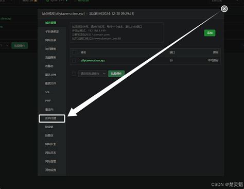 Linux 从零开始的nginx反向代理配置及运用教程sillytavern反向代理 Csdn博客