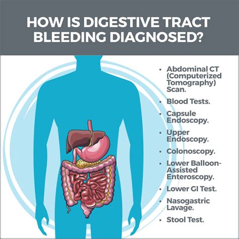 Bleeding In The Digestive Tract Gastro Md